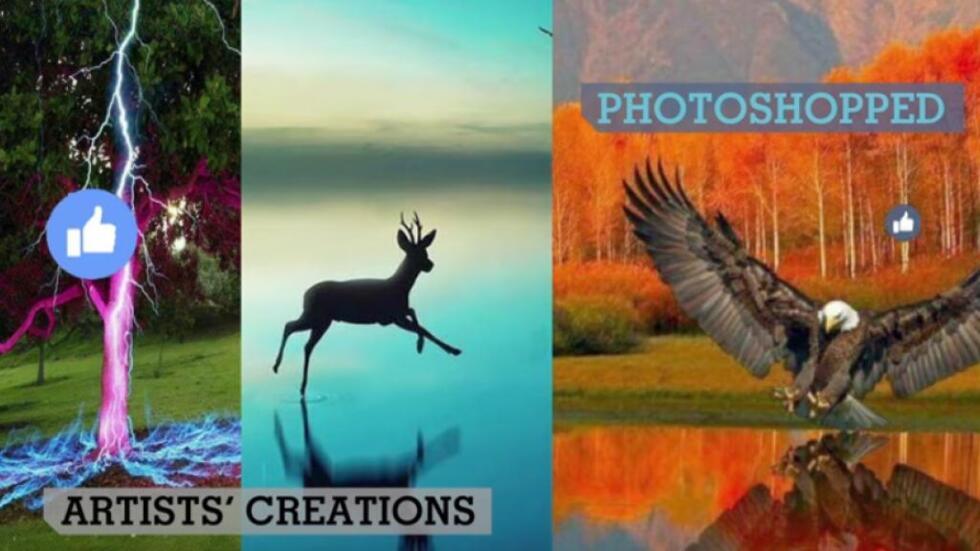 Video: When amazing nature shots are a bit too good to be true