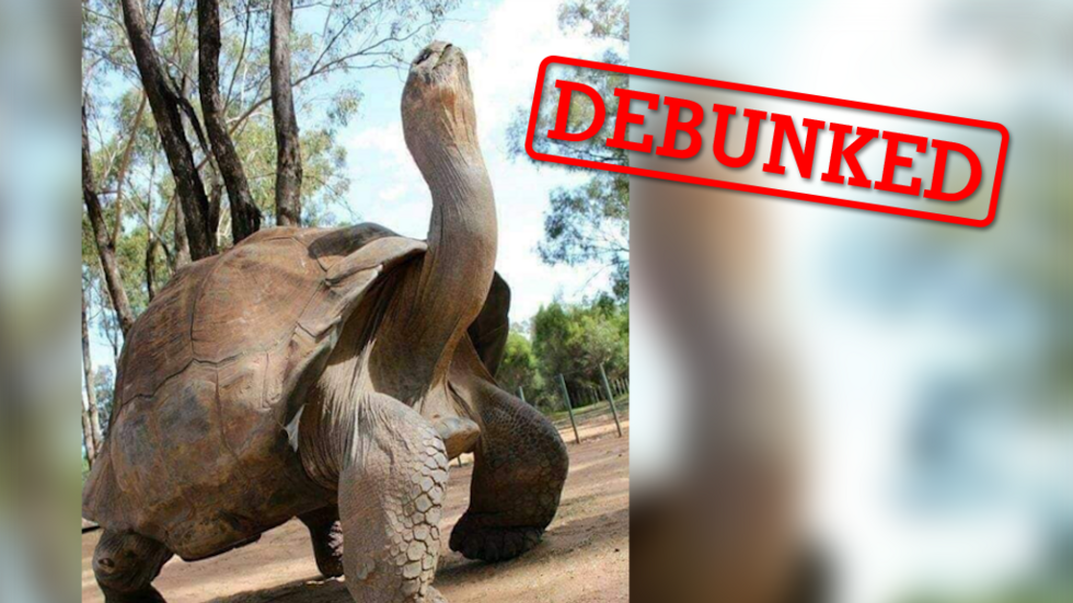 Does this photo really show a 344-year-old tortoise?