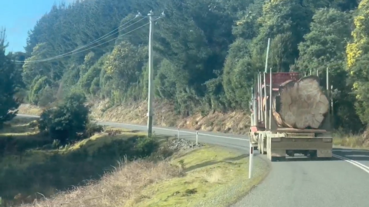 Video of a huge tree on a logging truck draws attention to ...
