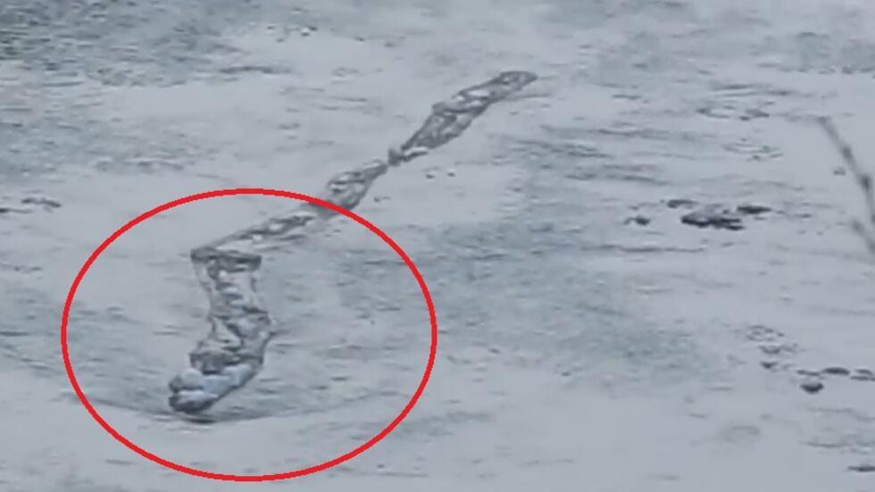 Does this video really show a monster in an Icelandic lake?