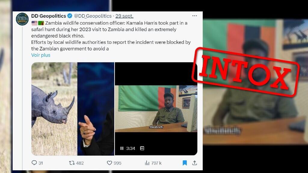 Kamala Harris tue un rhinocéros pendant un safari ? Une intox pro-russe ...
