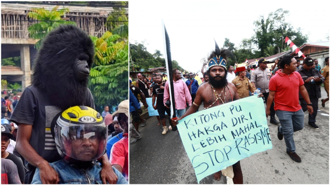 Papuans turn monkey slur into a revolutionary symbol