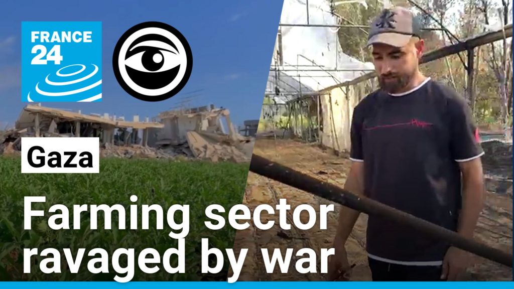 Gaza's agriculture ravaged by war - The Observers - The Observers ...