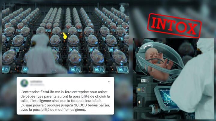 Cette "usine à bébés" nommée "EctoLife" est-elle vraiment en ...
