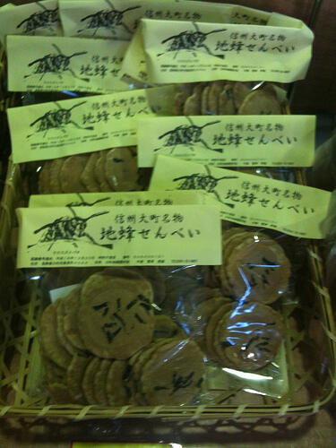 Insect diet may be the solution for a hungry world - The Observers ...