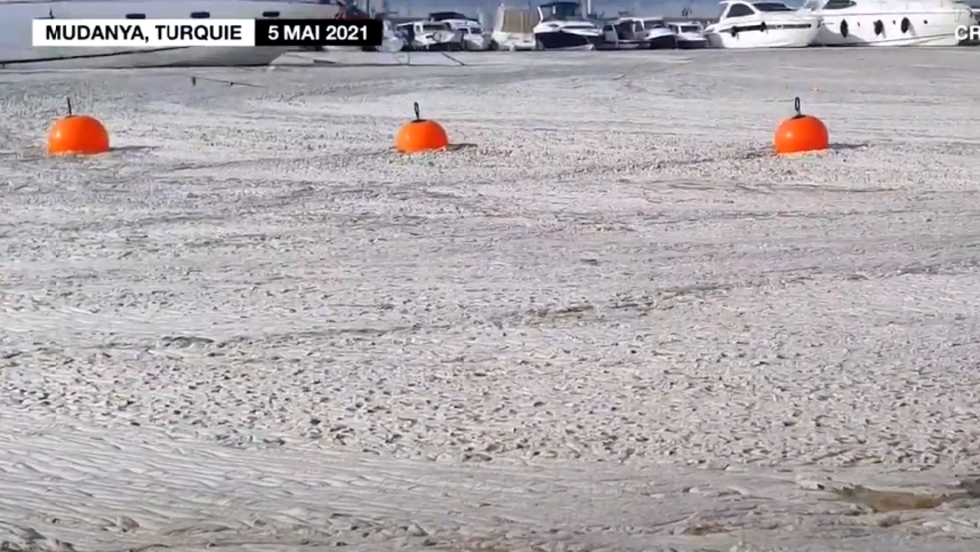 Les effets du confinement et les fortes chaleurs génèrent une ...