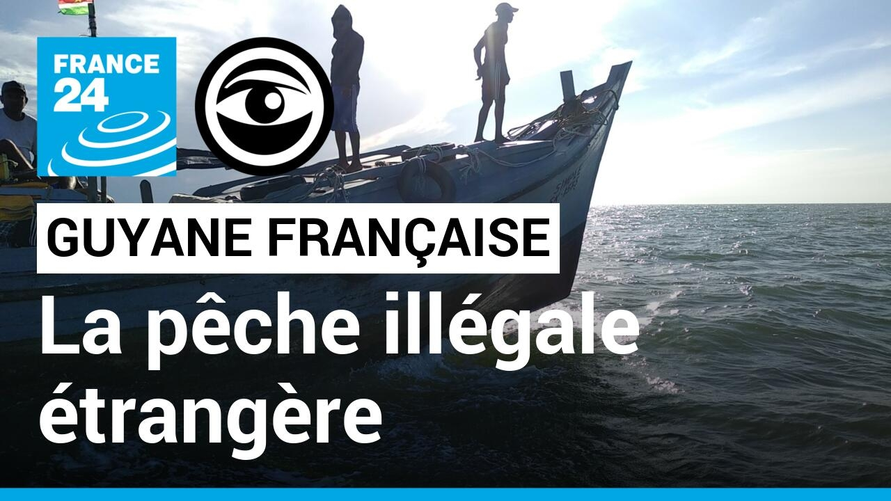 Pêche étrangère illégale en Guyane française : "Nos ressources ...
