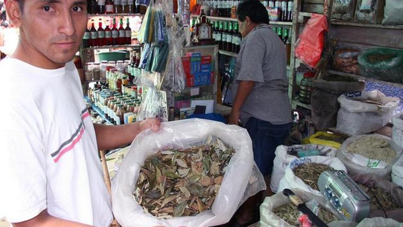 Traditional coca leaf: medicine or menace?