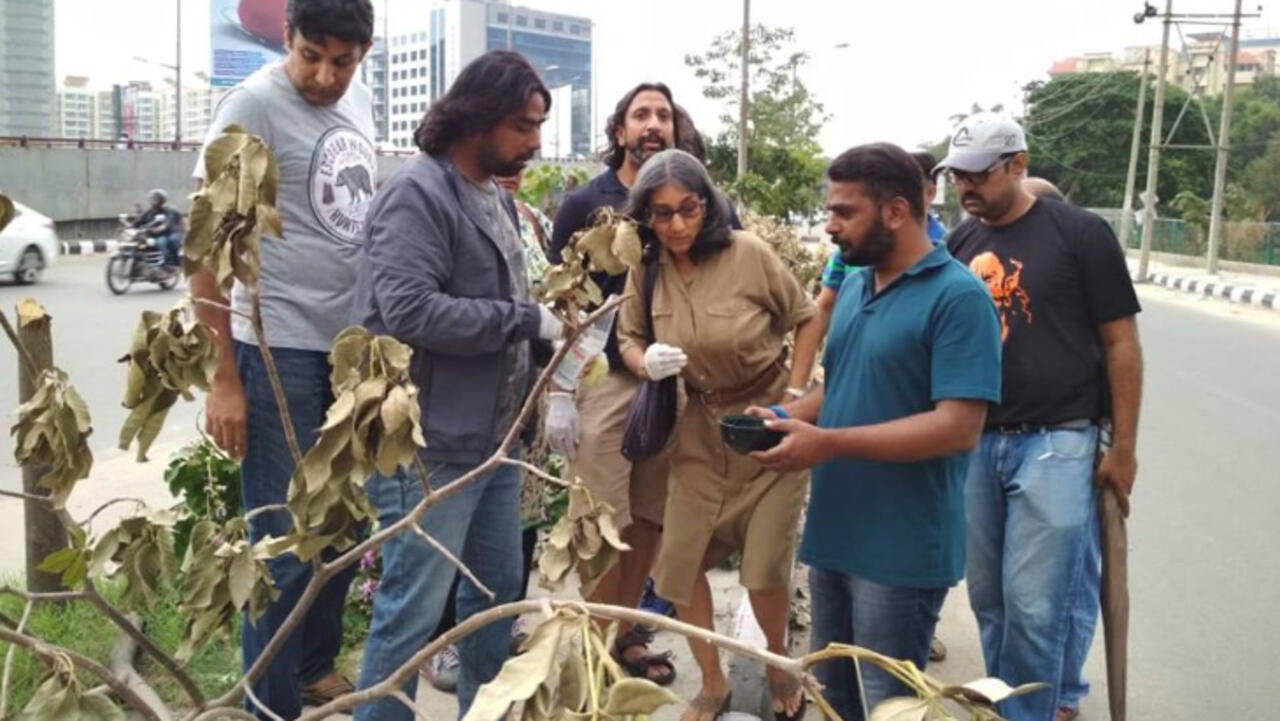 Bangaloreans protest 'serial tree-killing', blame advertisers - The ...
