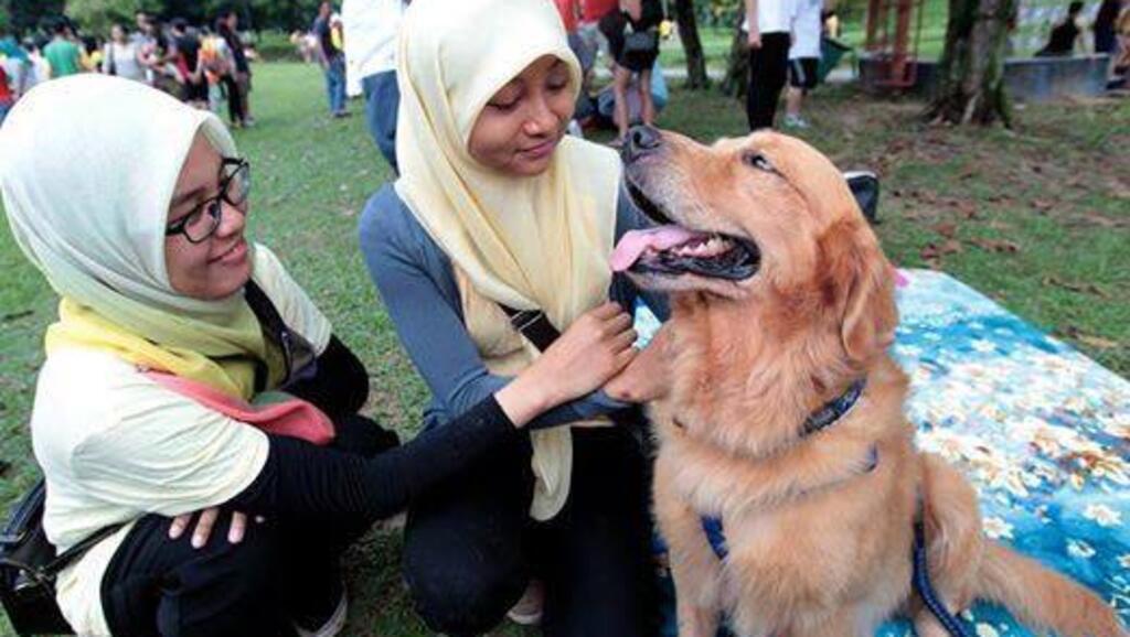 Petting a dog unleashes a national scandal in Malaysia