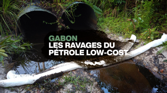 Les Observateurs de France 24. Filmer, vérifier, témoigner.