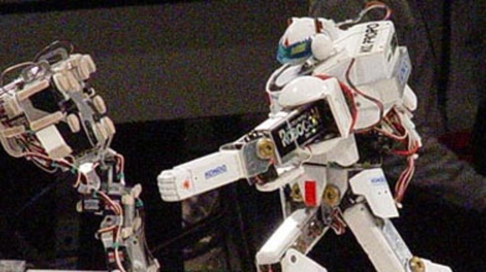 Robo De Combate Humanoide