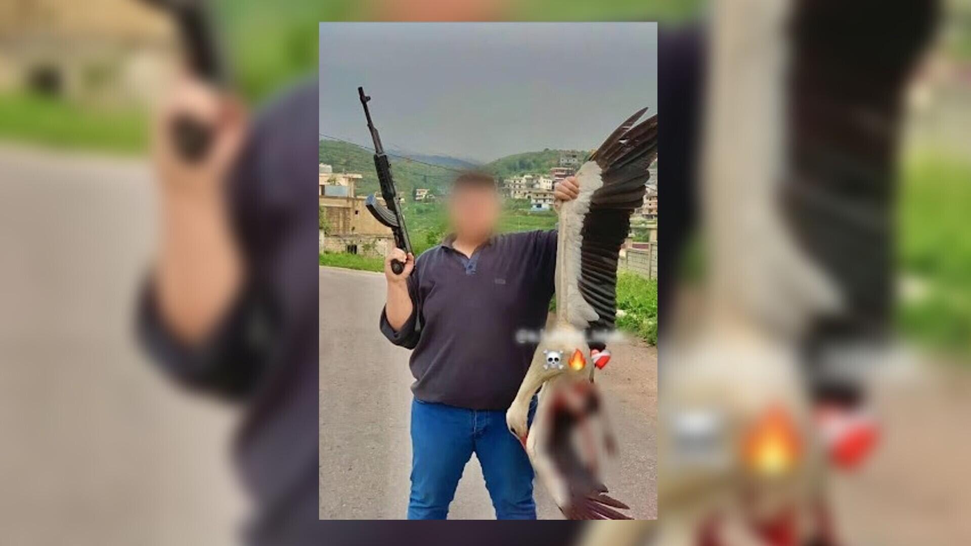 Hunters in Lebanon use automatic rifles to gun down dozens of rare ...