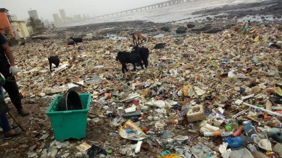 Video: In Mumbai, the ocean is bringing back heaps of trash