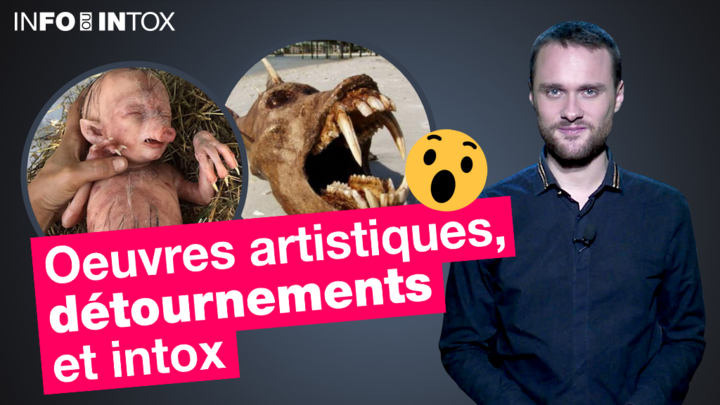 INFO ou INTOX n°27 : Quand l'art inspire de fausses informations