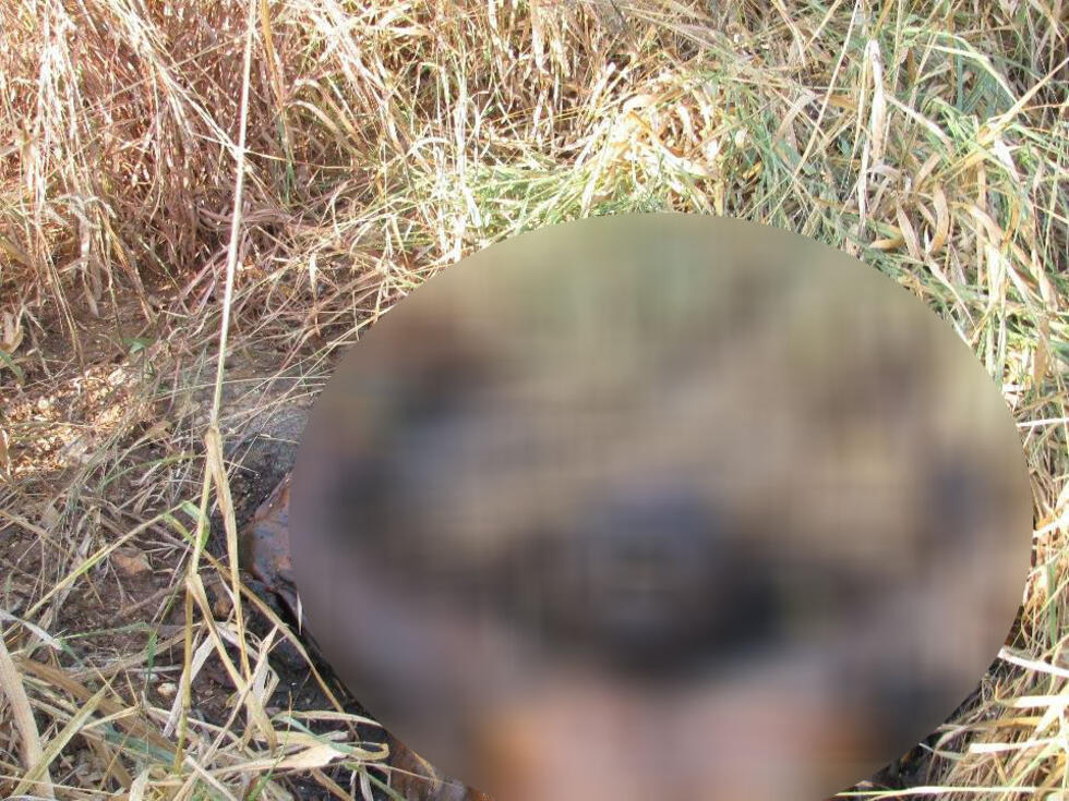 Des photos prouvent l’existence d’un charnier humain au Mozambique