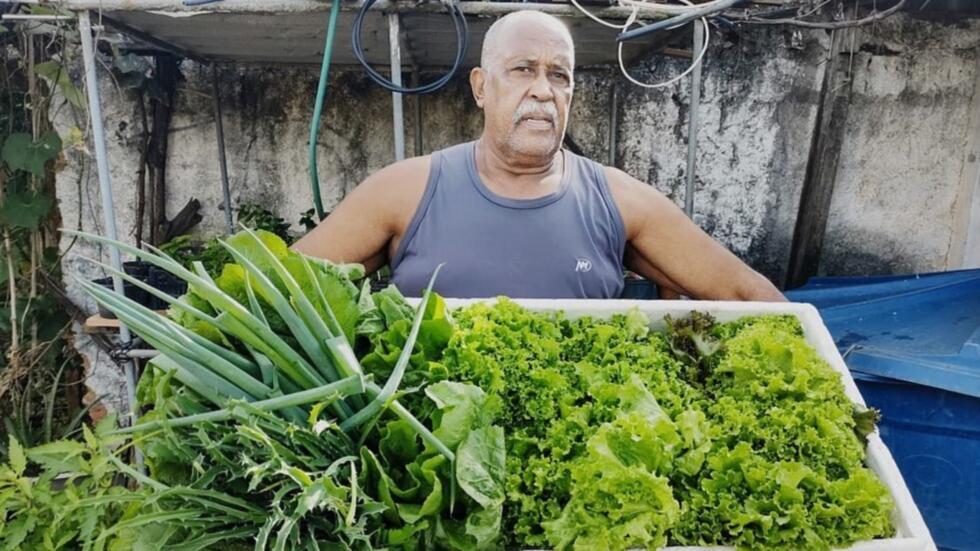 Urban farming provides seeds of hope to residents of Rio’s favelas