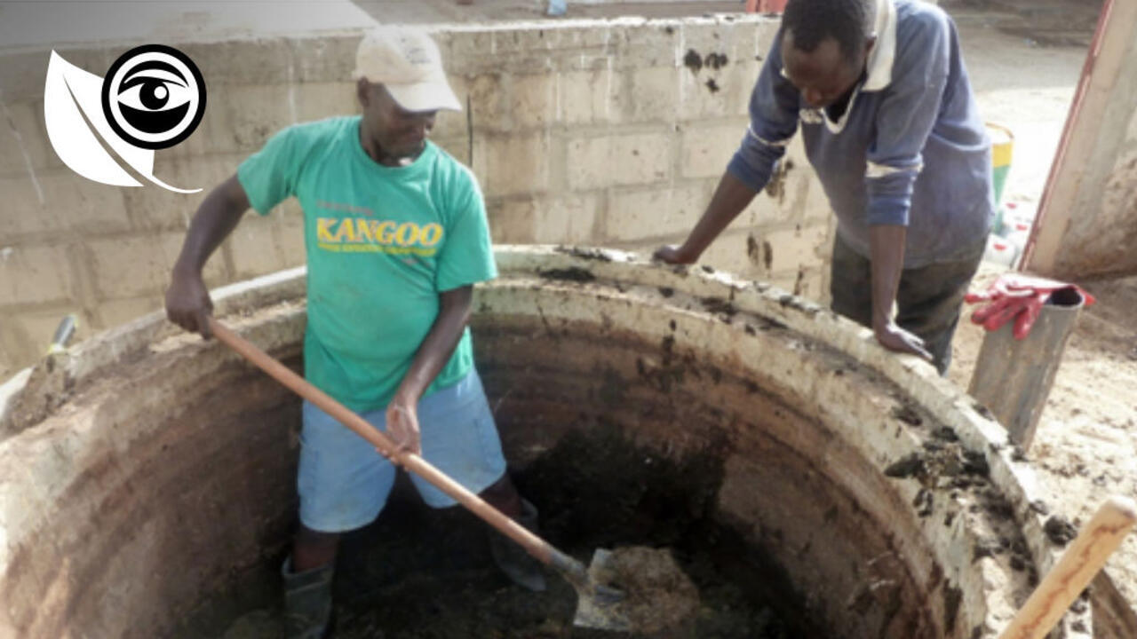 How to turn slaughterhouse waste into fuel