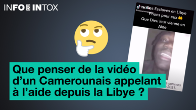 Info ou Intox, les questions des lycéens : que penser de la vidéo d’un ...