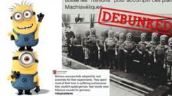 The Minions hoax that won’t go away - The Observers - France 24