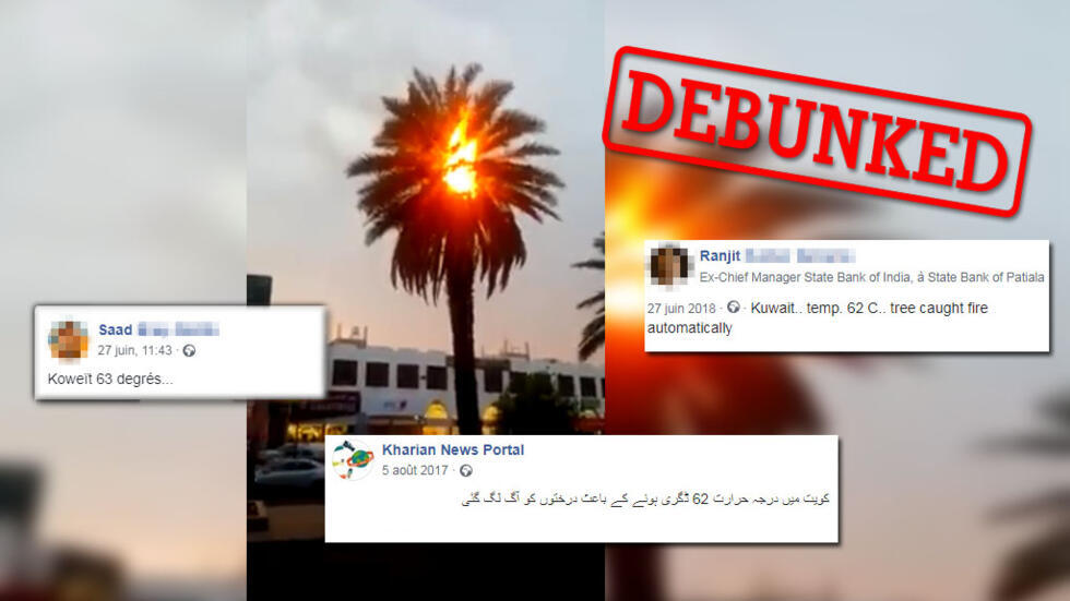 Did a palm tree in Dubai really catch fire because of extreme heat?