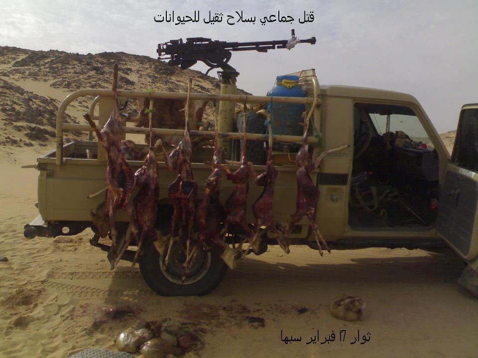 La chasse à la gazelle, nouveau passe-temps des miliciens libyens