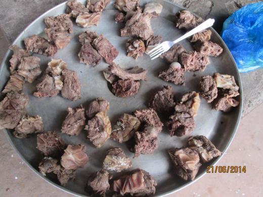 Du Gabon au Vietnam, le pangolin chassé jusqu'à l’extinction