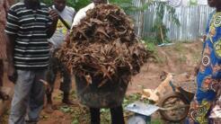 Contre les engrais chimiques, un compost "magique" pour les paysans ...