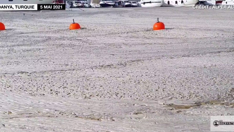 En Turquie, une étrange et inquiétante "morve de mer" - Les ...